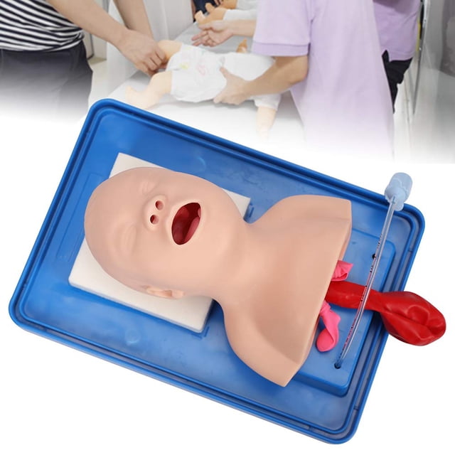 FETCOI Intubation Manikin Study Teaching Model, 220V Oral Nasal ...