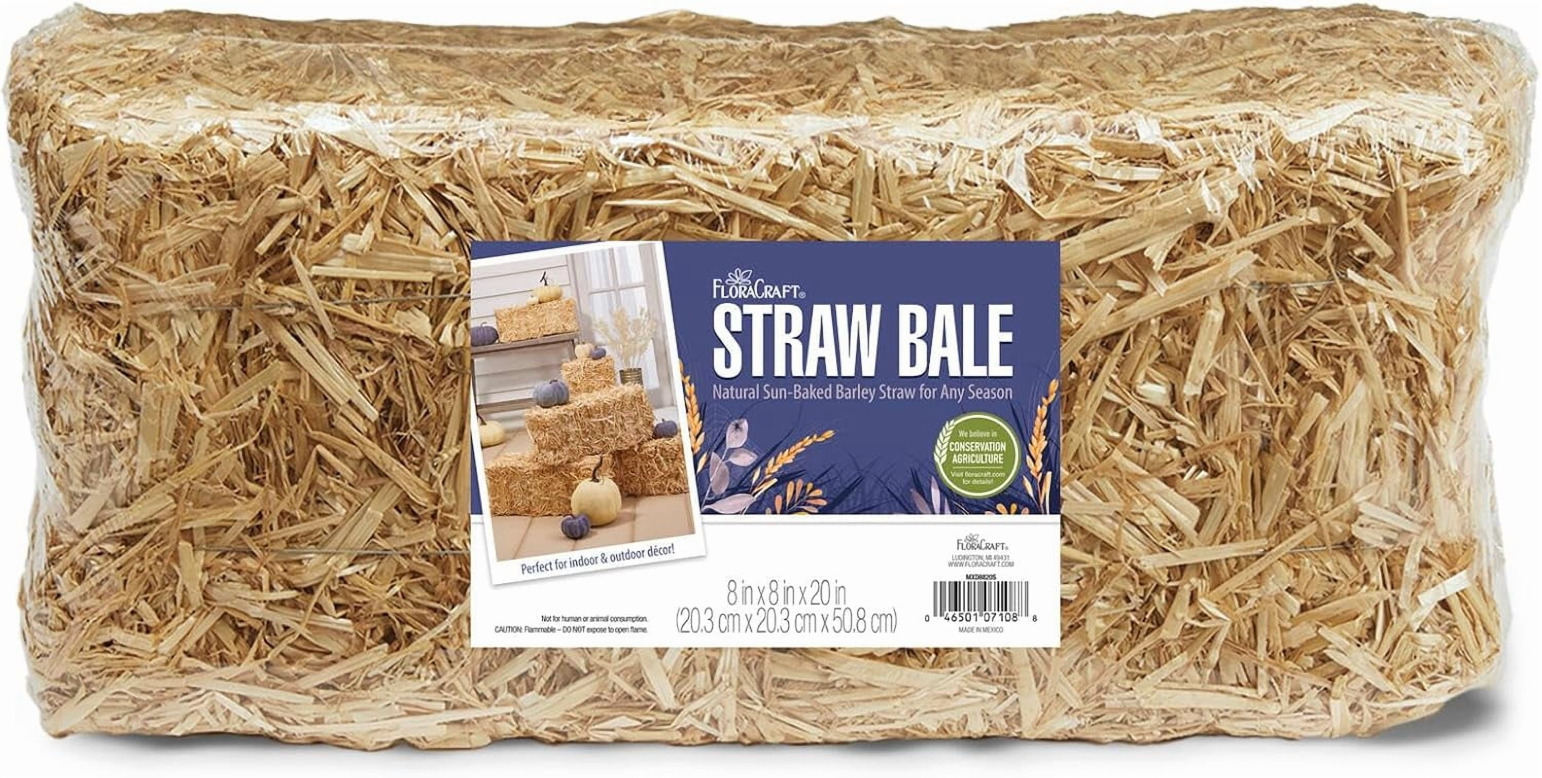FETON-US Decorative Straw Bale, 8x9x20 Inches, Natural - Ideal for ...