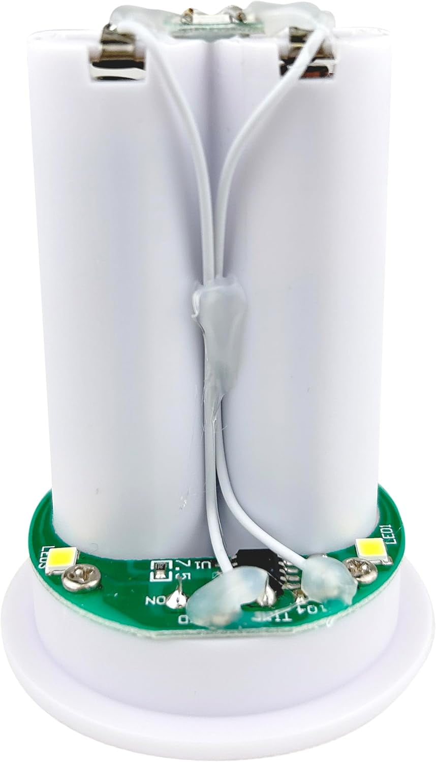 FETON-US Versatile Battery-Operated LED Light Insert, 2 Inch Tall ...