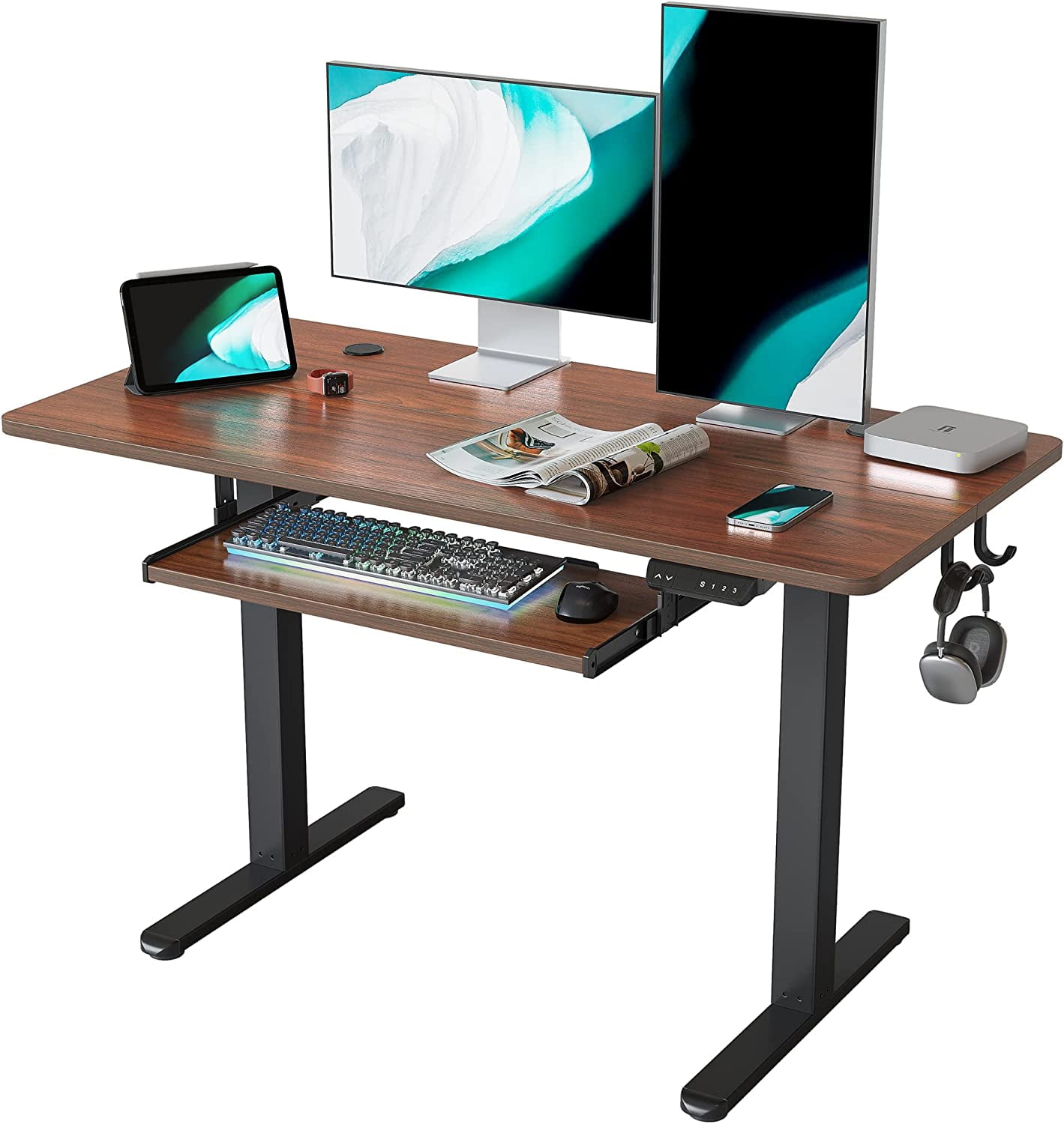 FEZIBO 48 x 24 inch Height Adjustable Electric Standing Desk with ...