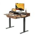 FEZIBO Adjustable Electric Standing Desk with 3 Drawers, 48x26 Inches ...
