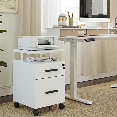 FEZIBO File Cabinet with Lock for Home Office, 2-Drawer Rolling Filing ...