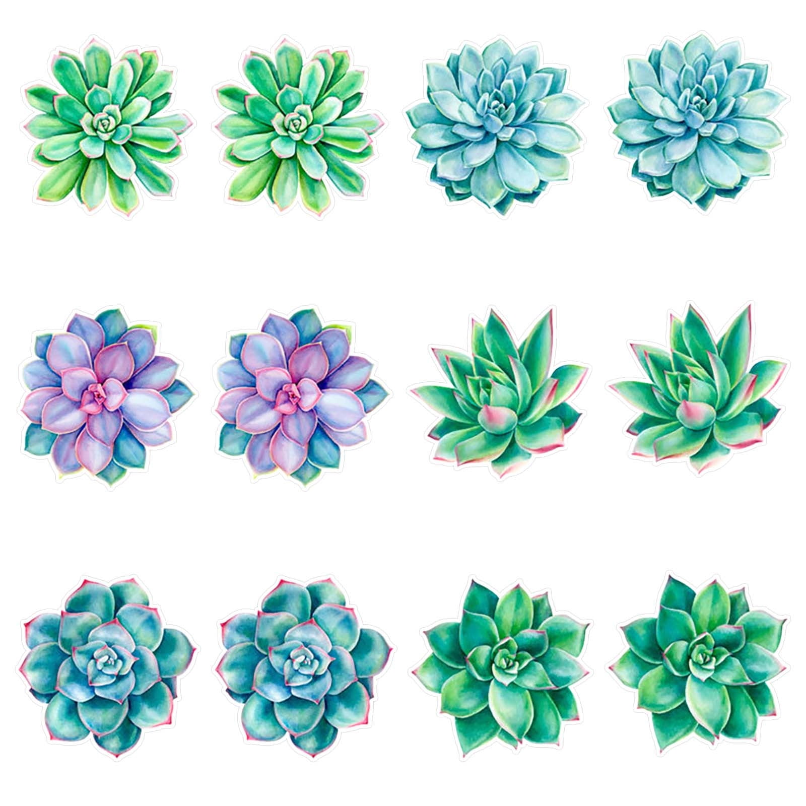 FFENYAN Portable Folding Mosquito Net Succulent Green Plant Screen ...