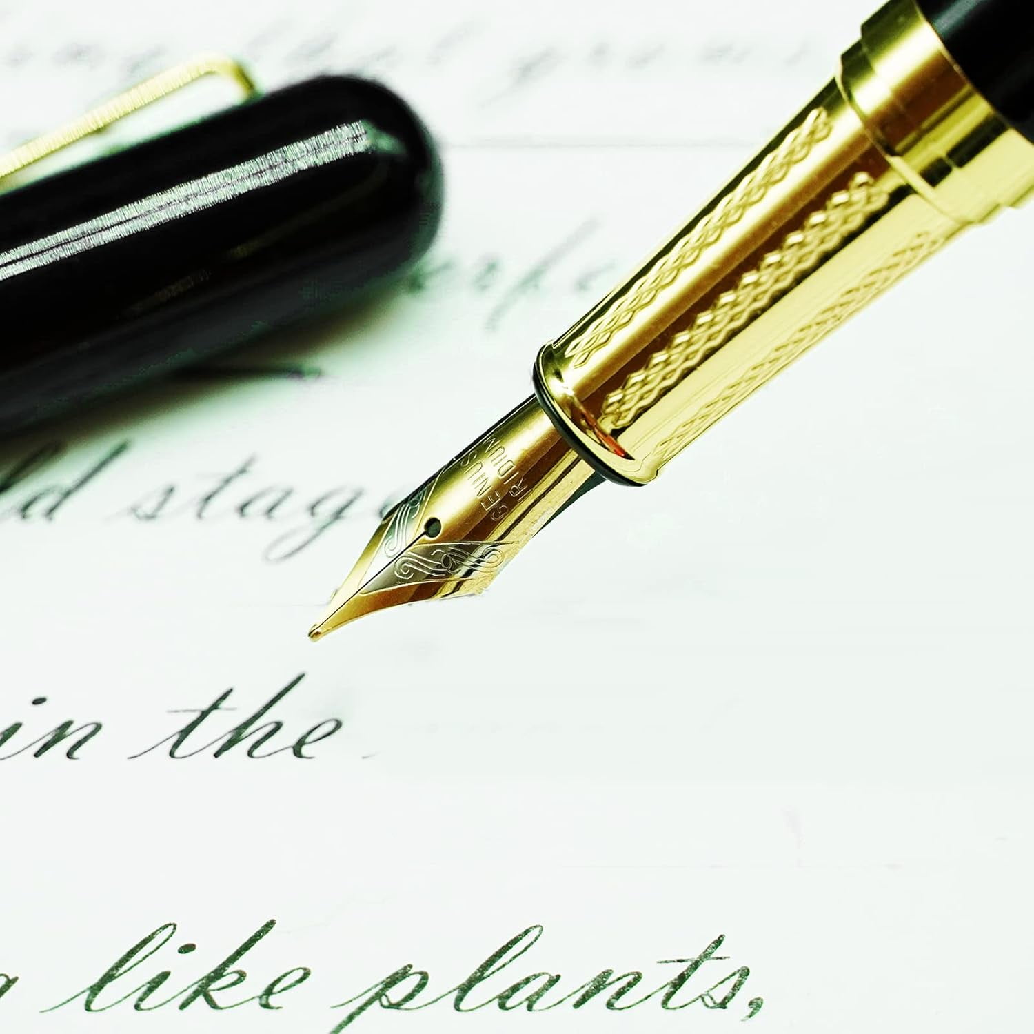 FGERFE-Fancy Fountain Pen Set Includes Luxury Metal Calligraphy ...