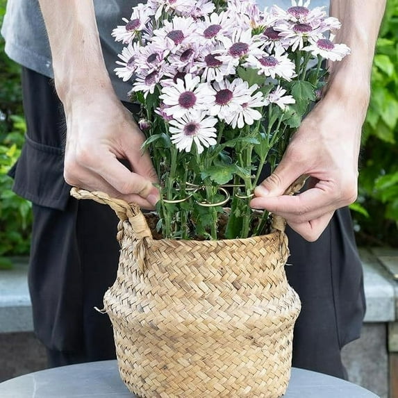 FHBVT Plant Support Bracket Climbing Plant Frame Adjustable Height ...