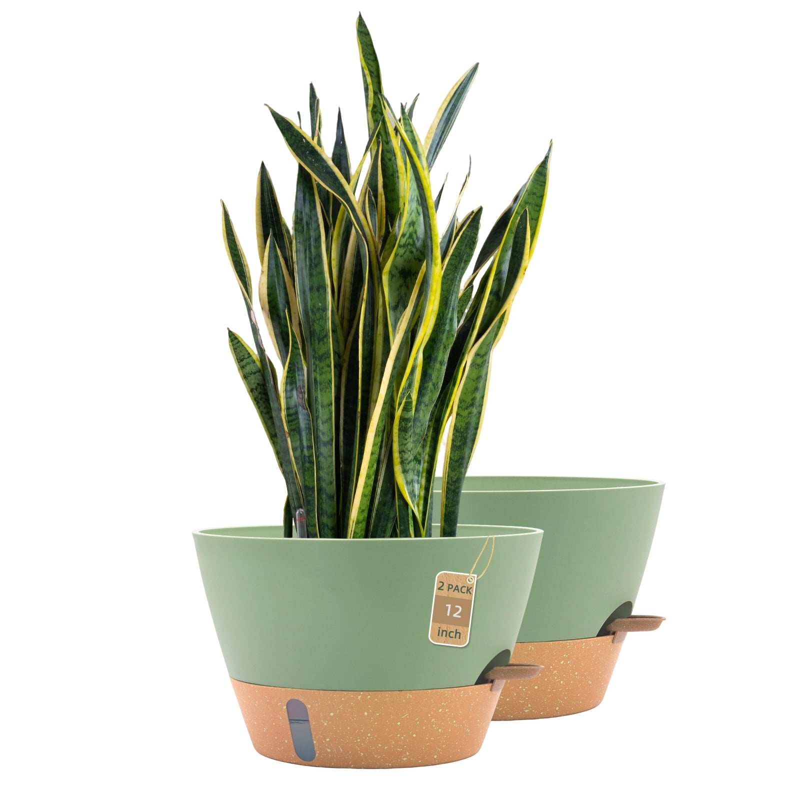 FIASON 2 Pack Plastic 12 Inch Green with Brown Self Watering Plant Pots ...