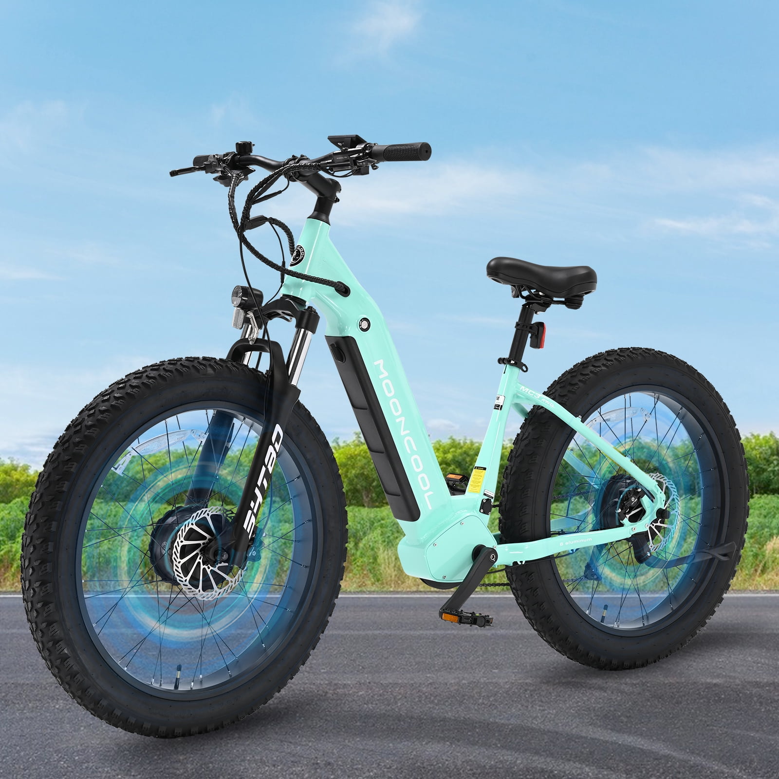 FICISOG 26" x 4" Adult Fat Tire Electric Bike , 500Wx2 Dual Motor AWD ...