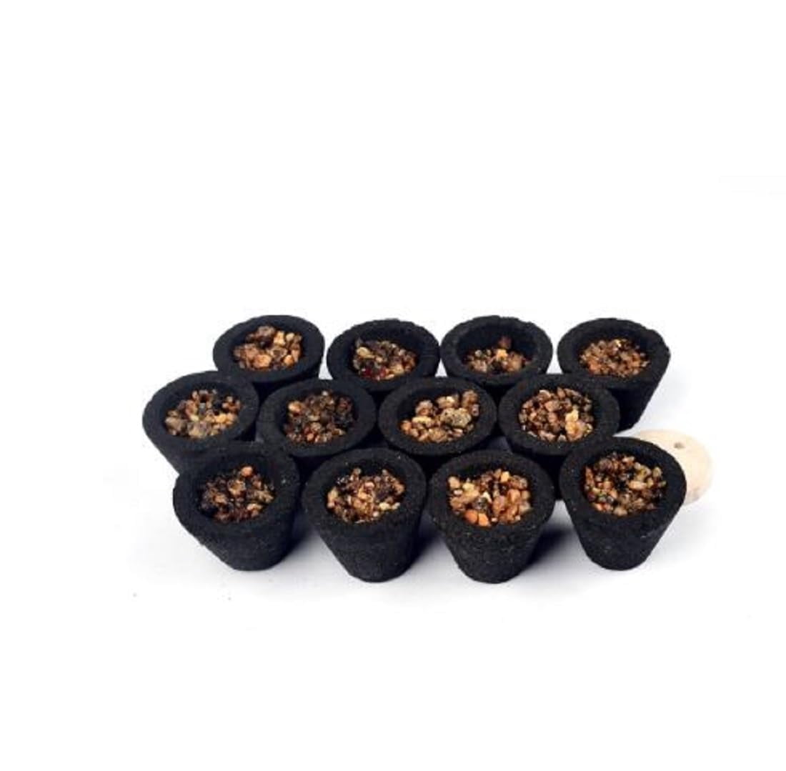 FICTIOUS Sambrani Havan Mini Size Dhoop Cup for Pooja with Loban Dhoop ...