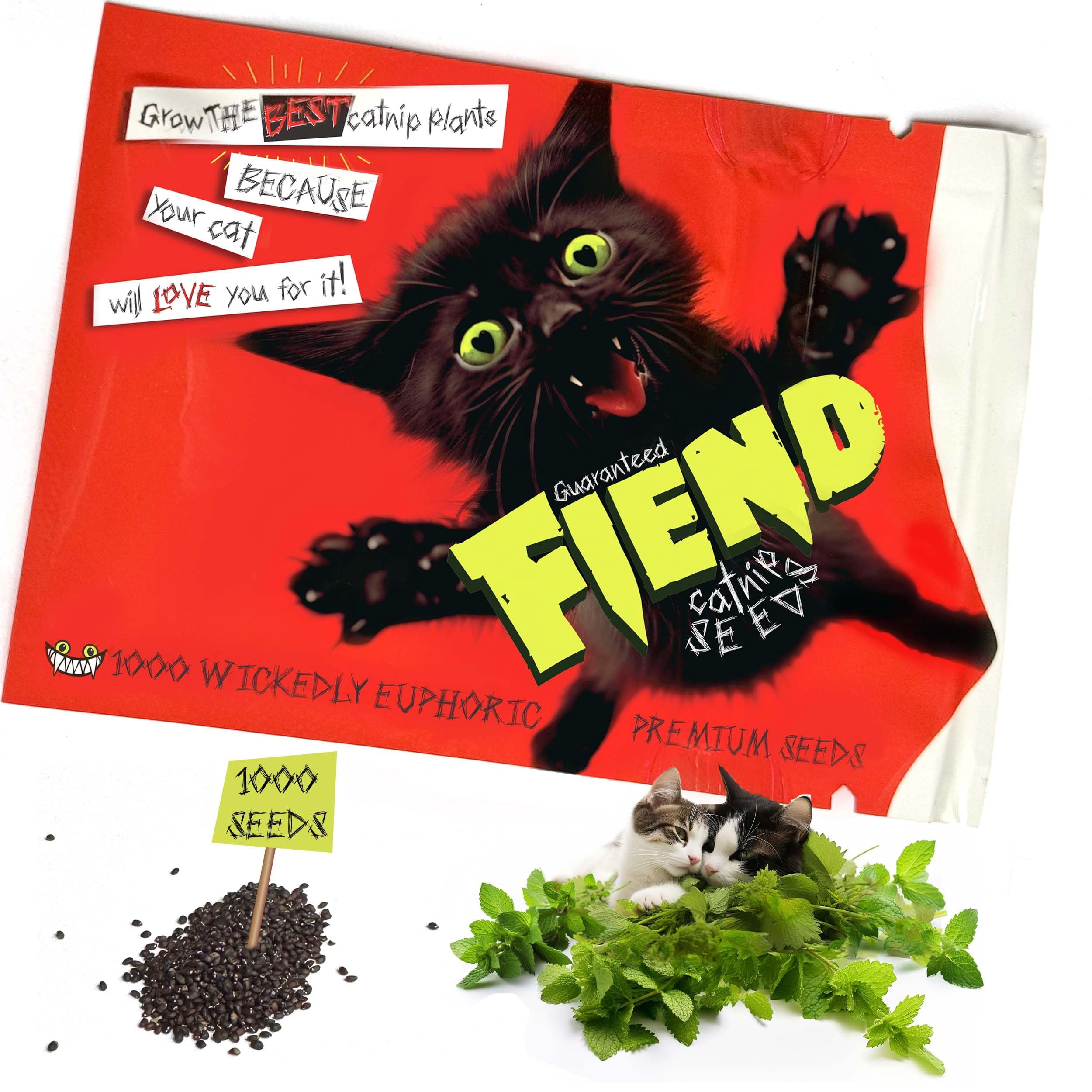 FIEND Premium Catnip Seeds - The Best Cat Nip Seeds to Grow Your Own ...