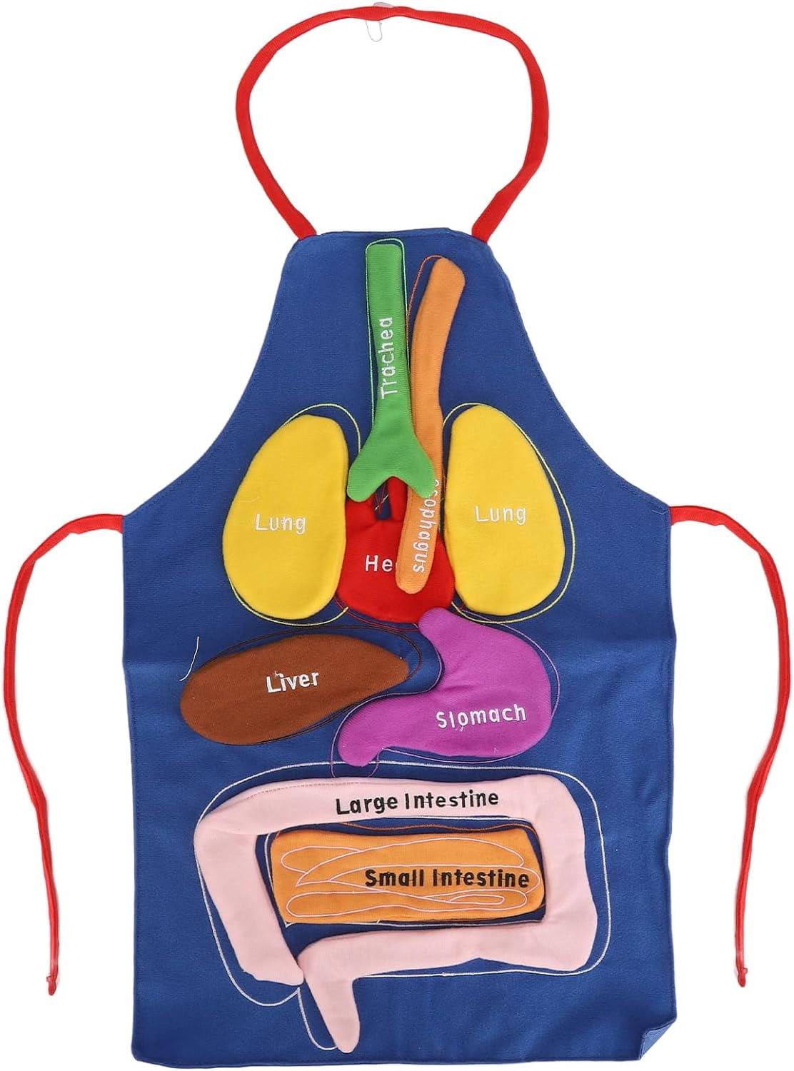 FIGT-3D Organ Apron, Human Body Organs Apron Awareness Educational Tool ... FIGT-3D Organ Apron, Human Body Organs Apron Awareness Educational Tool ...