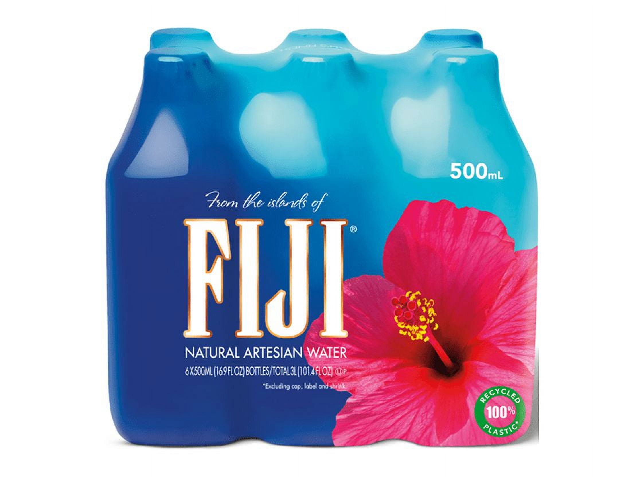 FIJI Natural Artesian Water, Small 16.9 fl. oz. Bottles - Groceries ...