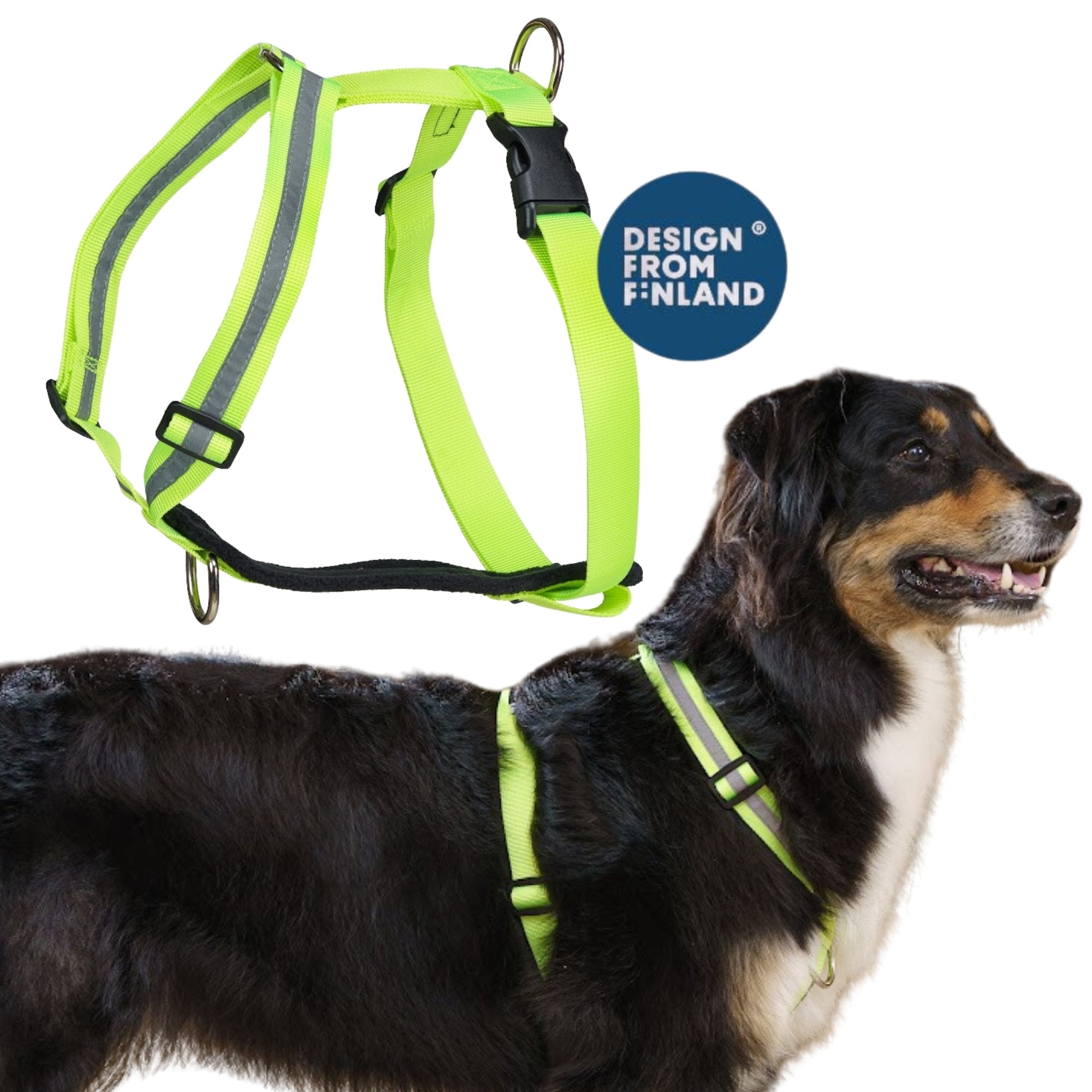 FINNERO Salo Adjustable Dog Harness Ergonomic Y-Shape Training Harness ...