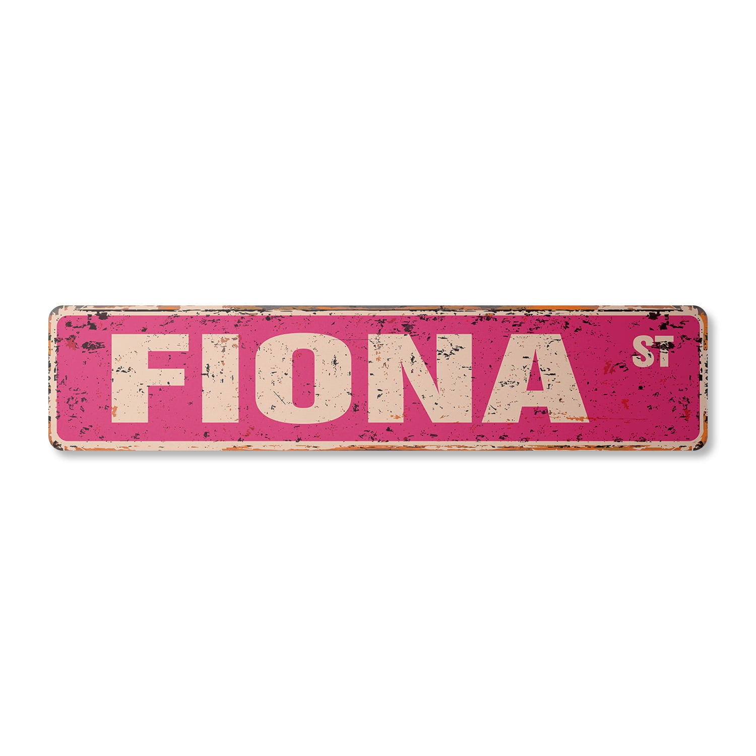 FIONA Vintage Aluminum Street Sign Childrens Name Room Metal Sign ...