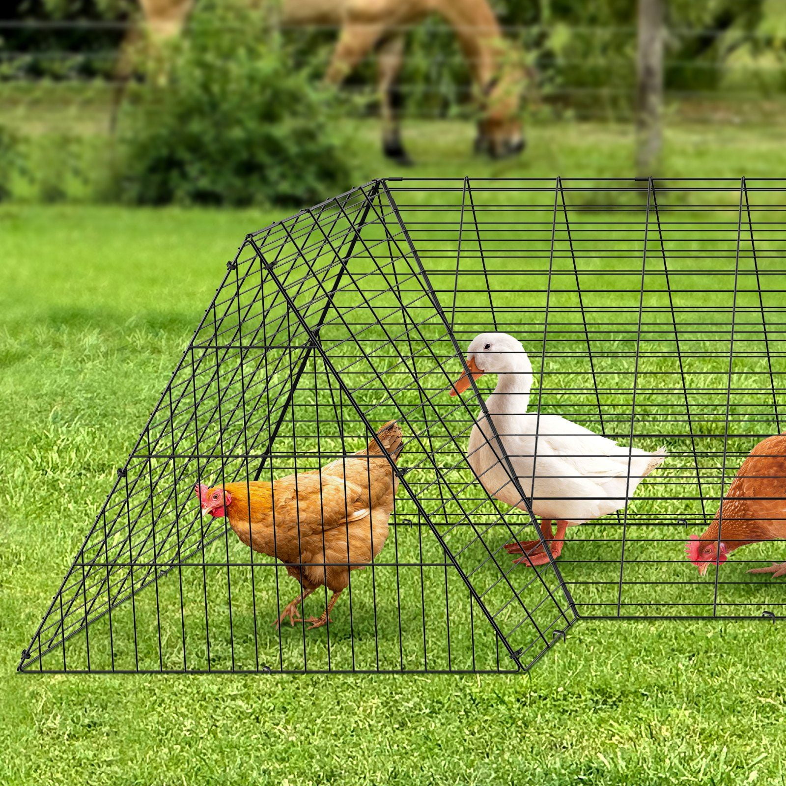 FITHOOD Chicken Tunnels, 157.5 x 39.4 x 24.2 inch(LxWxH) Chicken ...