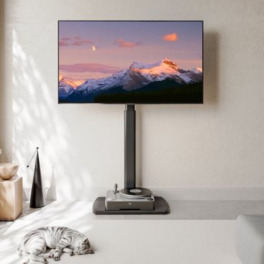 TAVR Universal Swivel Floor TV Stand for TVs up to 70 inch with Apple ...