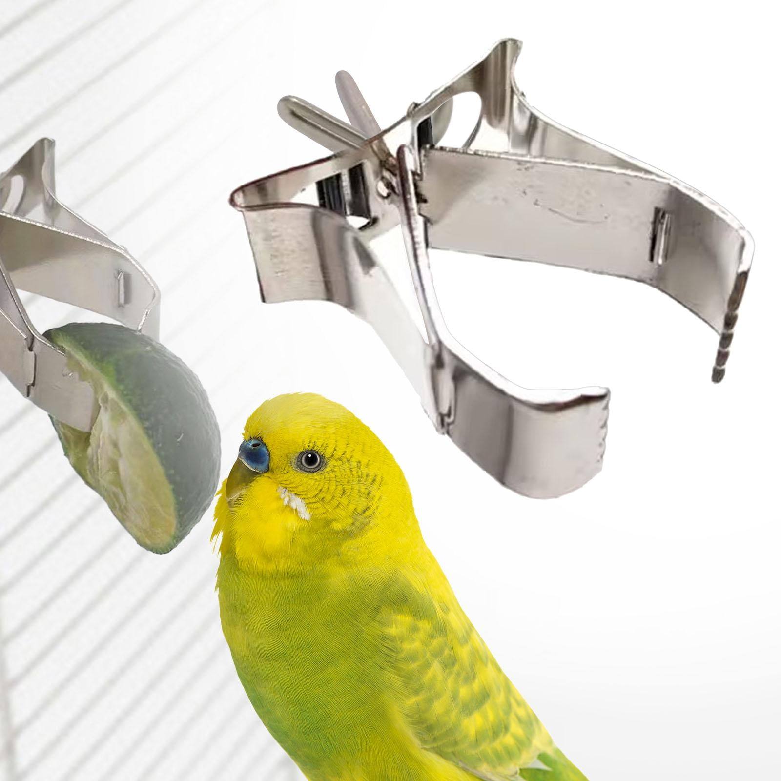 FITYLE Bird Cage Food Holder, Parrot Fruit Vegetable Clip Clamp, Bird ...