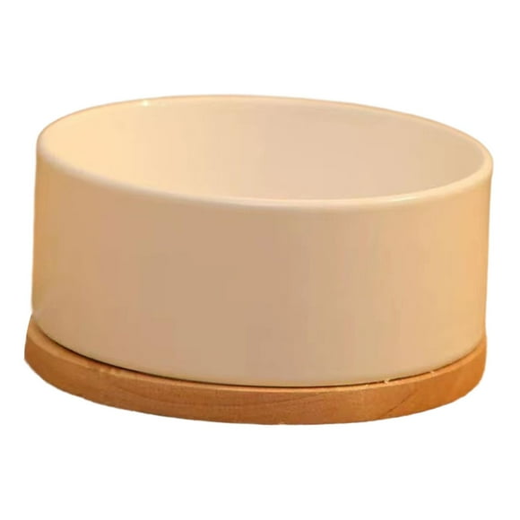 Heated Water Bowl Rabbits