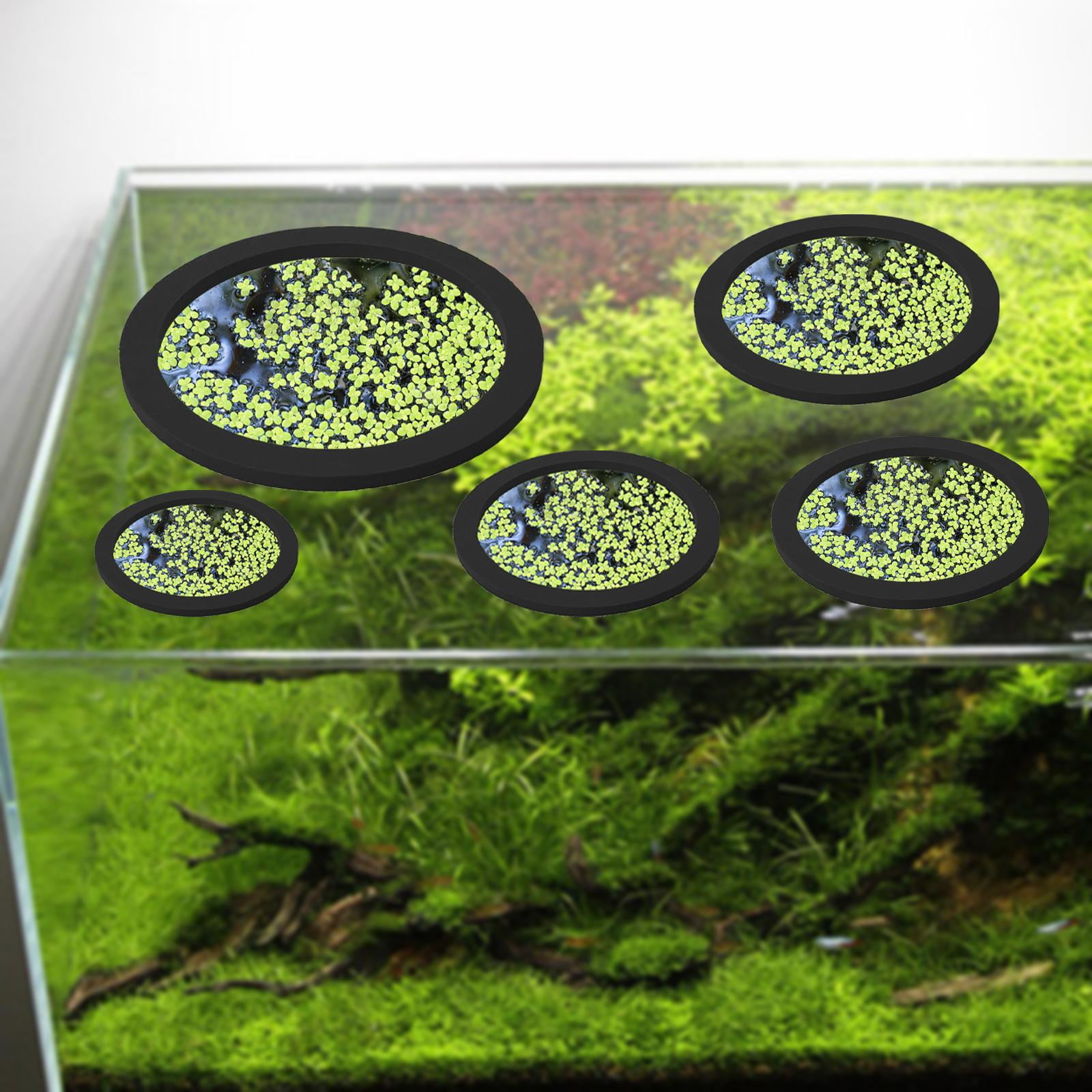 FITYLE Floating Plant Enclosure for Aquarium, 5 Sizes of Floating Plant ...
