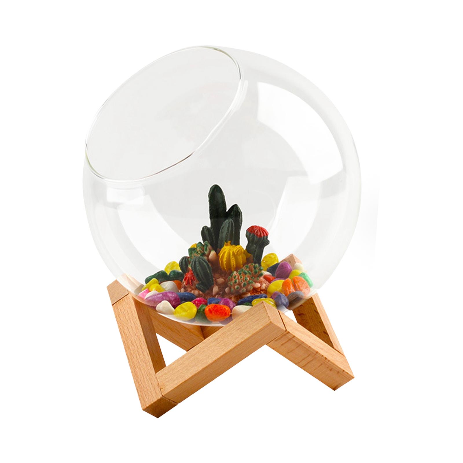 FITYLE Mini Bowl Kits Small Glass Jar Tank Breeding Box Mini Aquarium ...