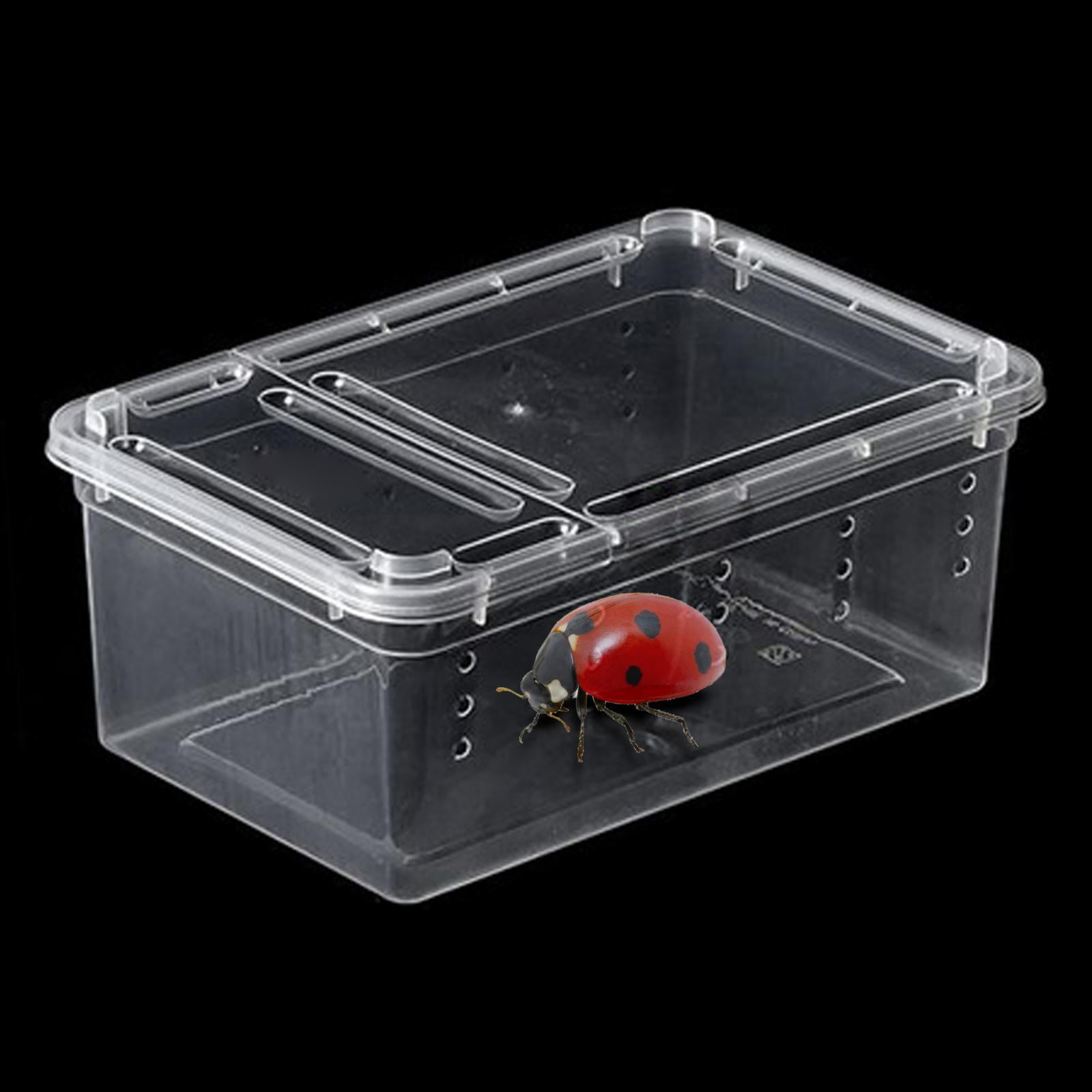 FITYLE Reptile Feeding Box Reptile Terrarium Enclosure 12.5x19x7.5cm ...