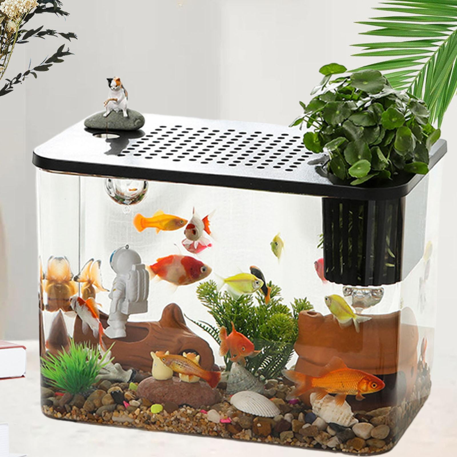 FITYLE Reptile Terrarium Tank Habitat Desktop Breeding Tank Small Tank ...