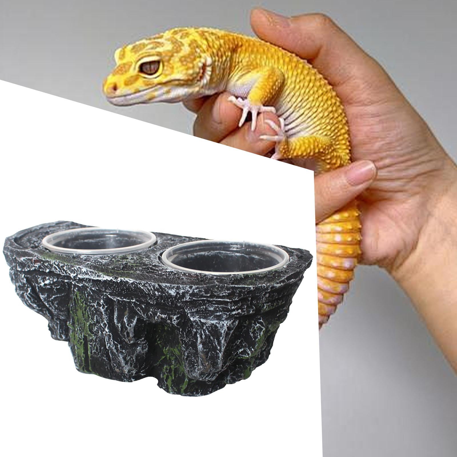 FITYLE Water Basin, Food Container, Stable, Removable Breeding ...