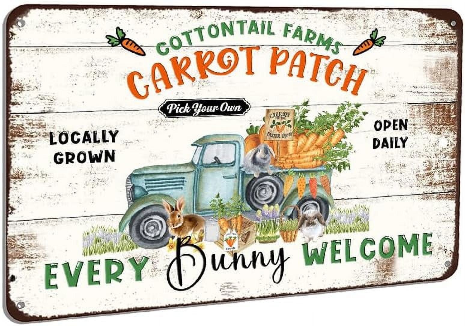 FJPT Happy Easter Welcome to Cottontail Farm Sign Every Bunny Welcome ...