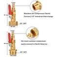 FJSHN-RV Winterize Blowout Adapter with 1/4" Quick Connect Plug and 3/4 ...