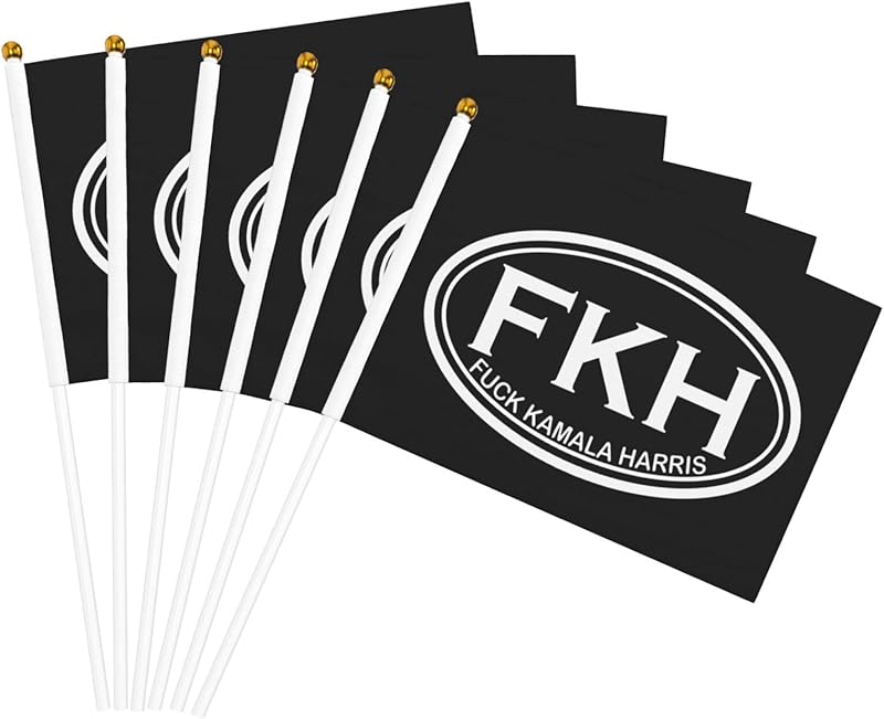 FKH - Fck K-amala H-arris - Trump 2024 President Election Flag Small ...