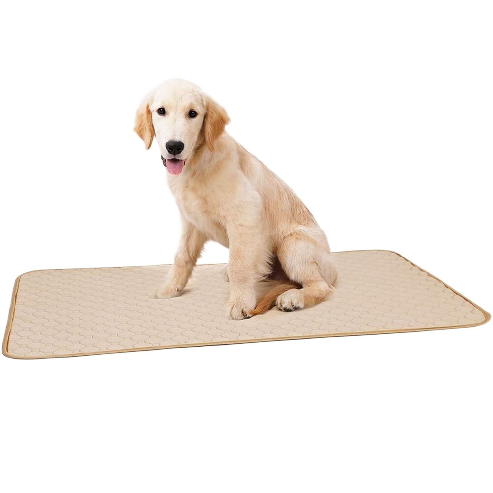 FL Pee Pads for Dog Washable Puppy Wee Wee Pad Waterproof Potty ...