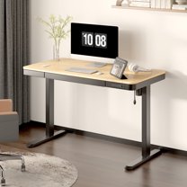 "ACTIVESIT Modern 55"" W Home Office Adjustable Standing Desk with ...