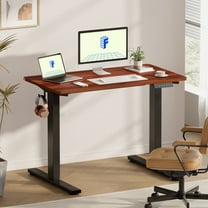 FLEXISPOT 48"x30" Home Office Height Adjustable Standing Desk with ...