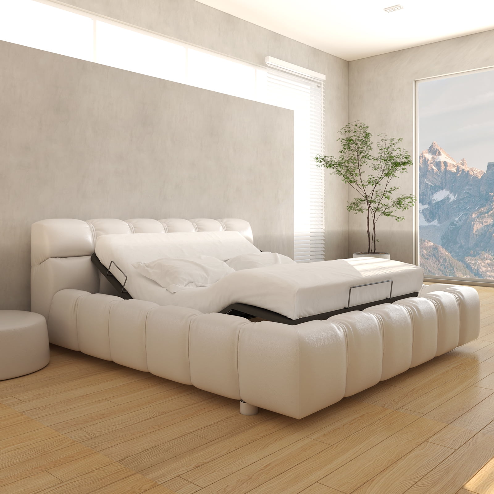 FLEXISPOT Electric Adjustable Queen Bed Frame, Dual Motors, Anti-Snore ...