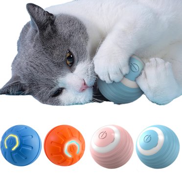 Cat Spring Toys (60 Pack), Playful Coils for Kittens, Coil Plastic for ...