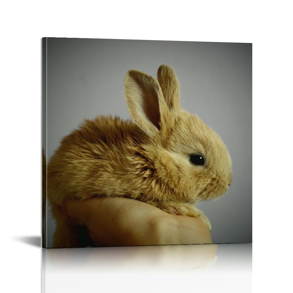 FLORID 16x16in Rabbit Artwork Paintings Print on Canvas Wall Art for ...