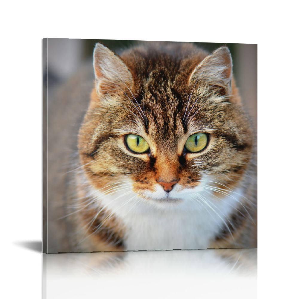 FLORID 16x16in Wall Art Printed Tabby Cat Artwork Paintings Print on ...