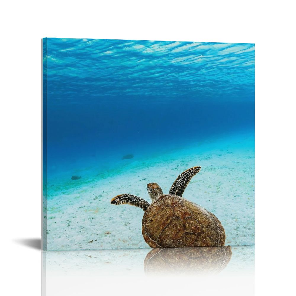 FLORID 16x16in Wall Decor Art Modern Prints Artwork Pictures Photo ...