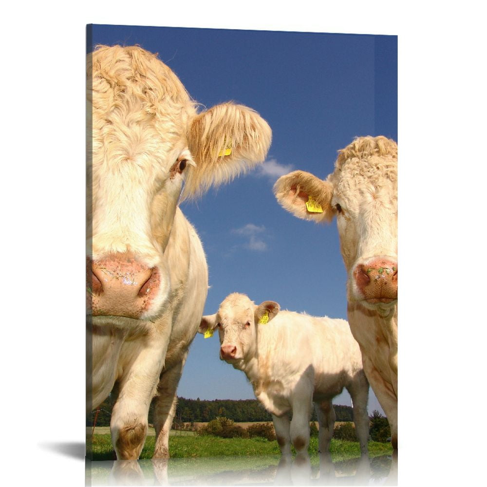 FLORID 16x20 in / 12x16 in Decorative Painting Cows Artwork Print on ...