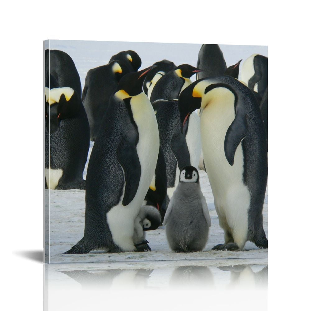 FLORID Emperor Penguins Modern Paintings Print on Canvas Wall Art ...