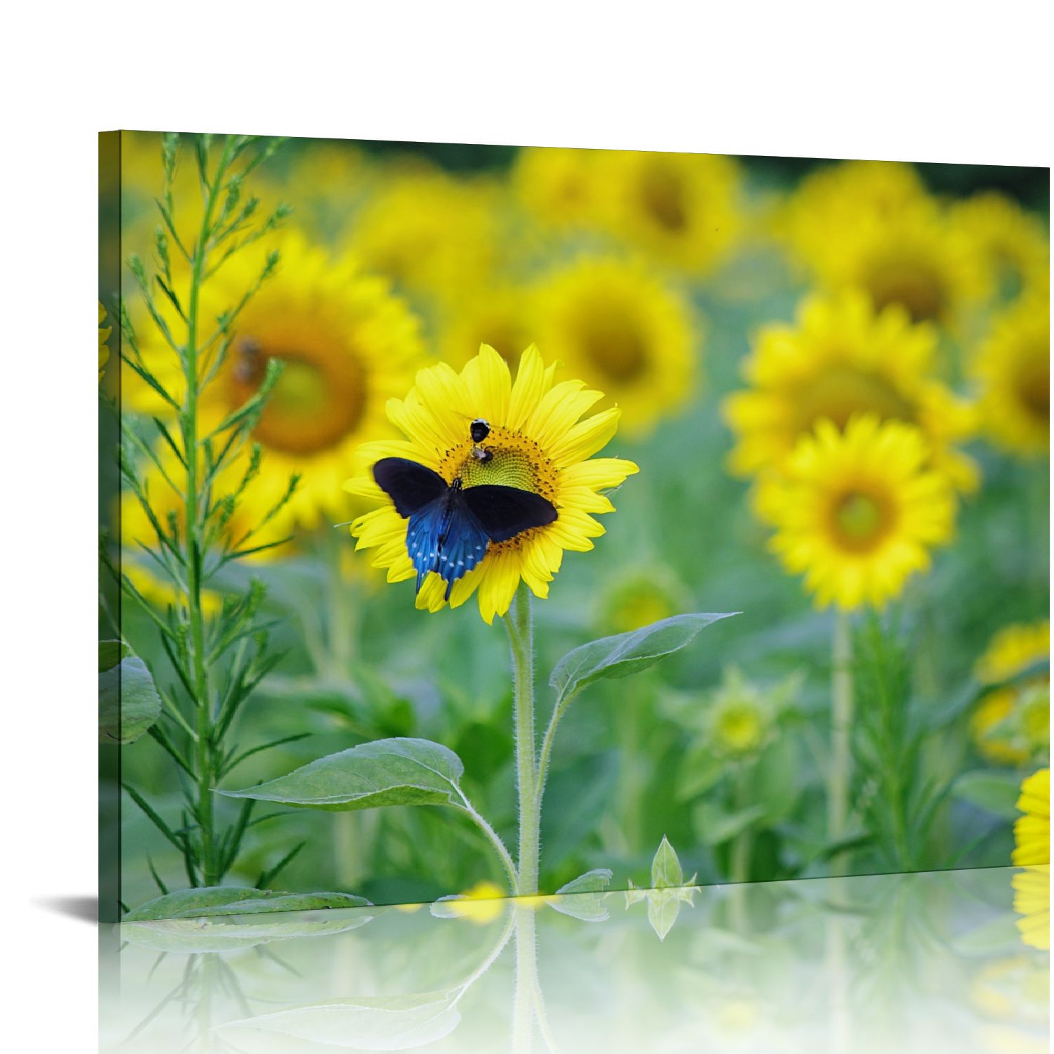 FLORID Wall Art Printed 20x16 in / 16x12 in Sunflowers-Wall Art For ...