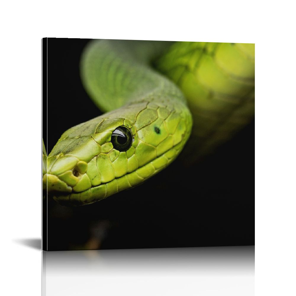 FLORID Wall Decor Art Green Snake Artwork Paintings Print on Canvas ...