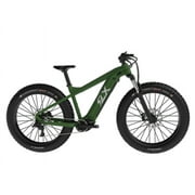 Kenda Electric Bike
