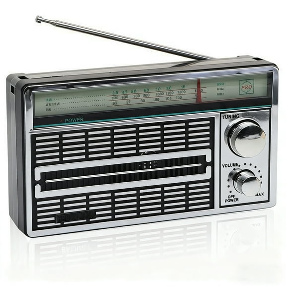 C. Crane CCRadio 3 Portable Digital Radio - Long Range AM/FM, NOAA ...