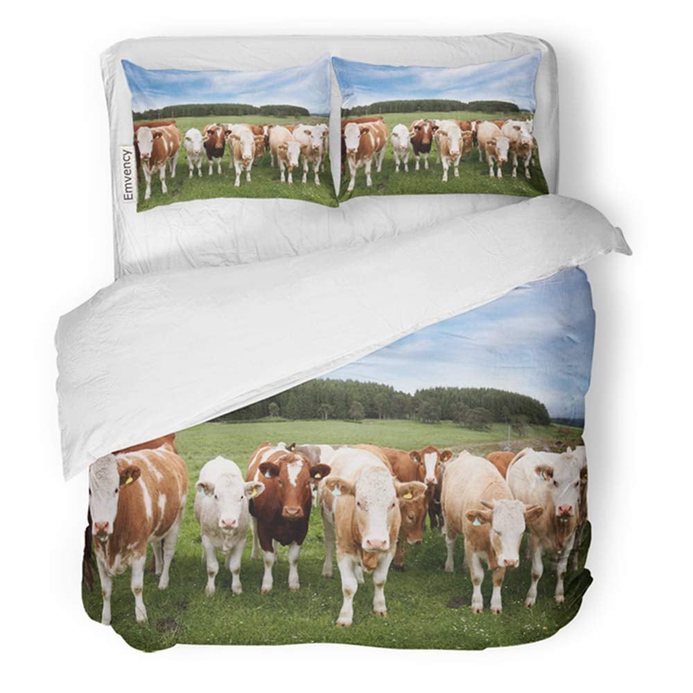 FMSHPON 3 Piece Bedding Set Brown Beef Herd of Cattle in English ...