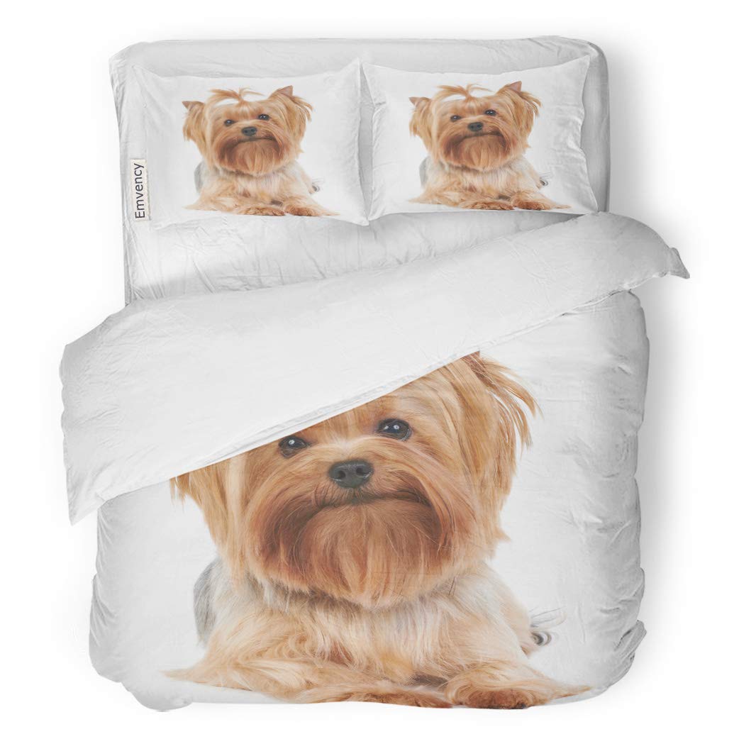 FMSHPON 3 Piece Bedding Set Brown Dog Yorkshire Terrier The Red Groomed ...