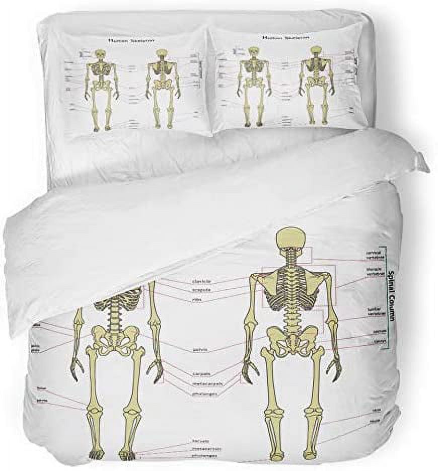 FMSHPON 3 Piece Bedding Set Human Skeleton Didactic Board Anatomy Bony ...