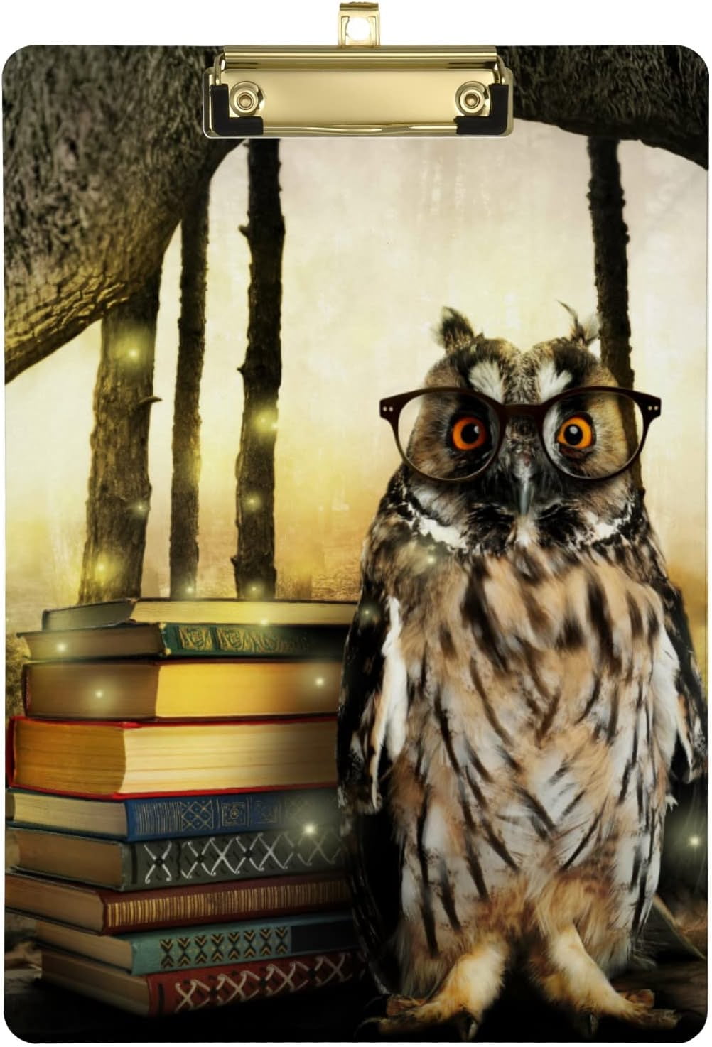 FMSHPON Beautiful Owl Clipboard Hardboard Wood Nursing Clip Board and ...