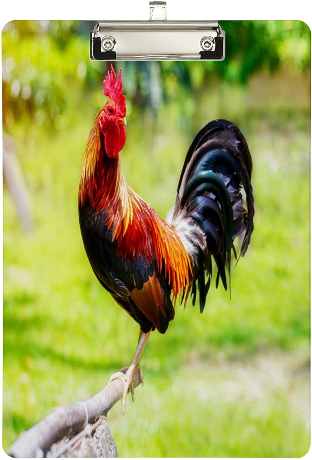 FMSHPON Beautiful Rooster Clipboard Hardboard Wood Nursing Clip Board ...