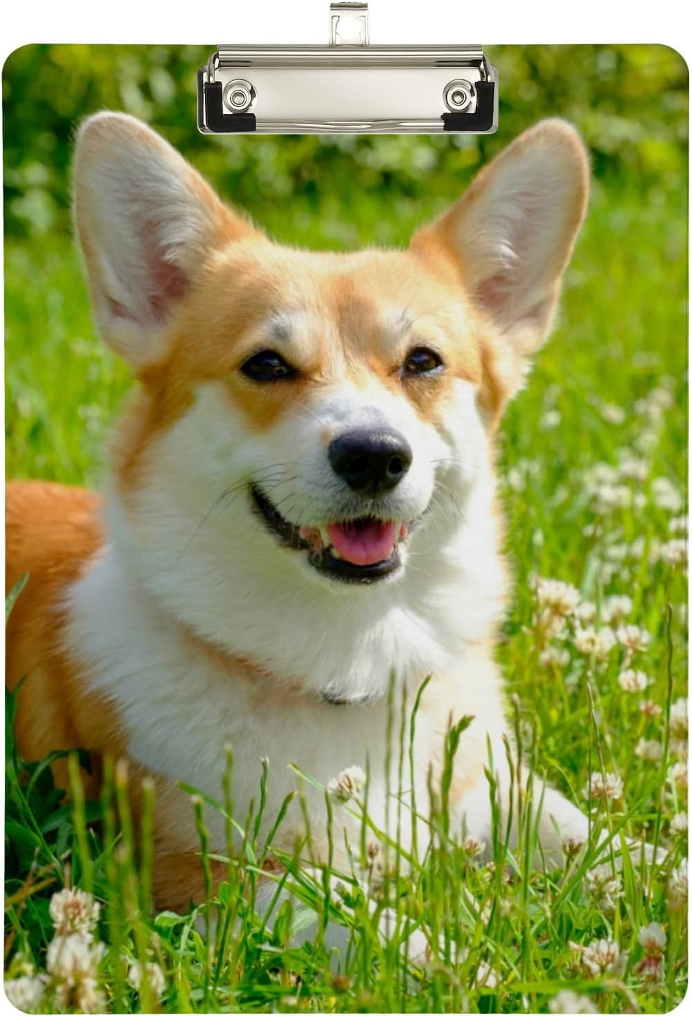 FMSHPON Cute Corgi Dog Floral Clipboard Hardboard Wood Nursing Clip ...