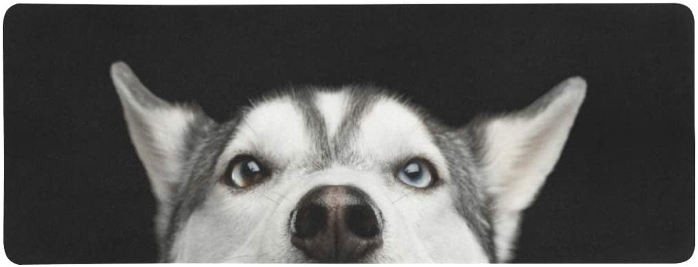 FMSHPON Funny Close Up of Siberian Husky Dog with Blue Eyes Extra ...